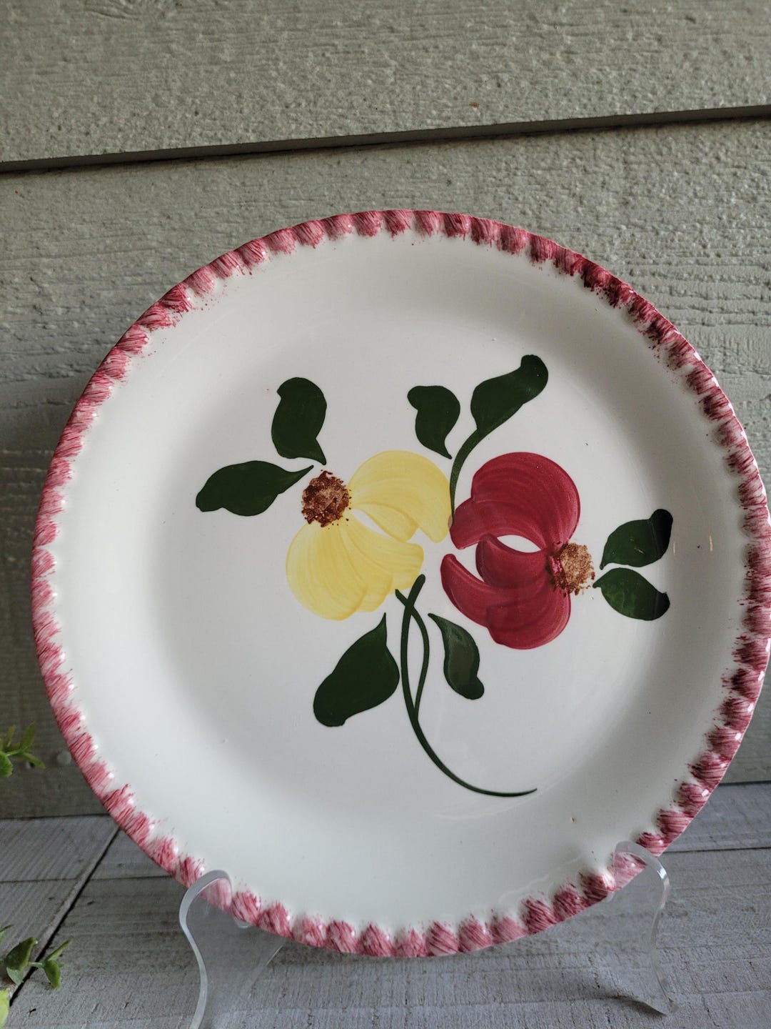 Vintage Blue Ridge Dinner Plate-vixen Pattern on the Candlewick Blank ...