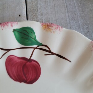 Vintage Blue Ridge Pottery Plate in the Autumn Apple Pattern on the ...