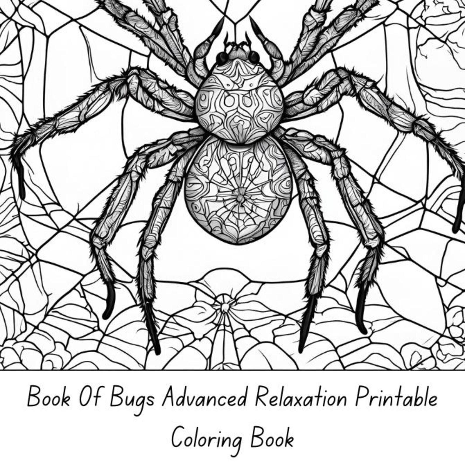 Adult Book of Bugs Relaxation Printable Pages - Etsy