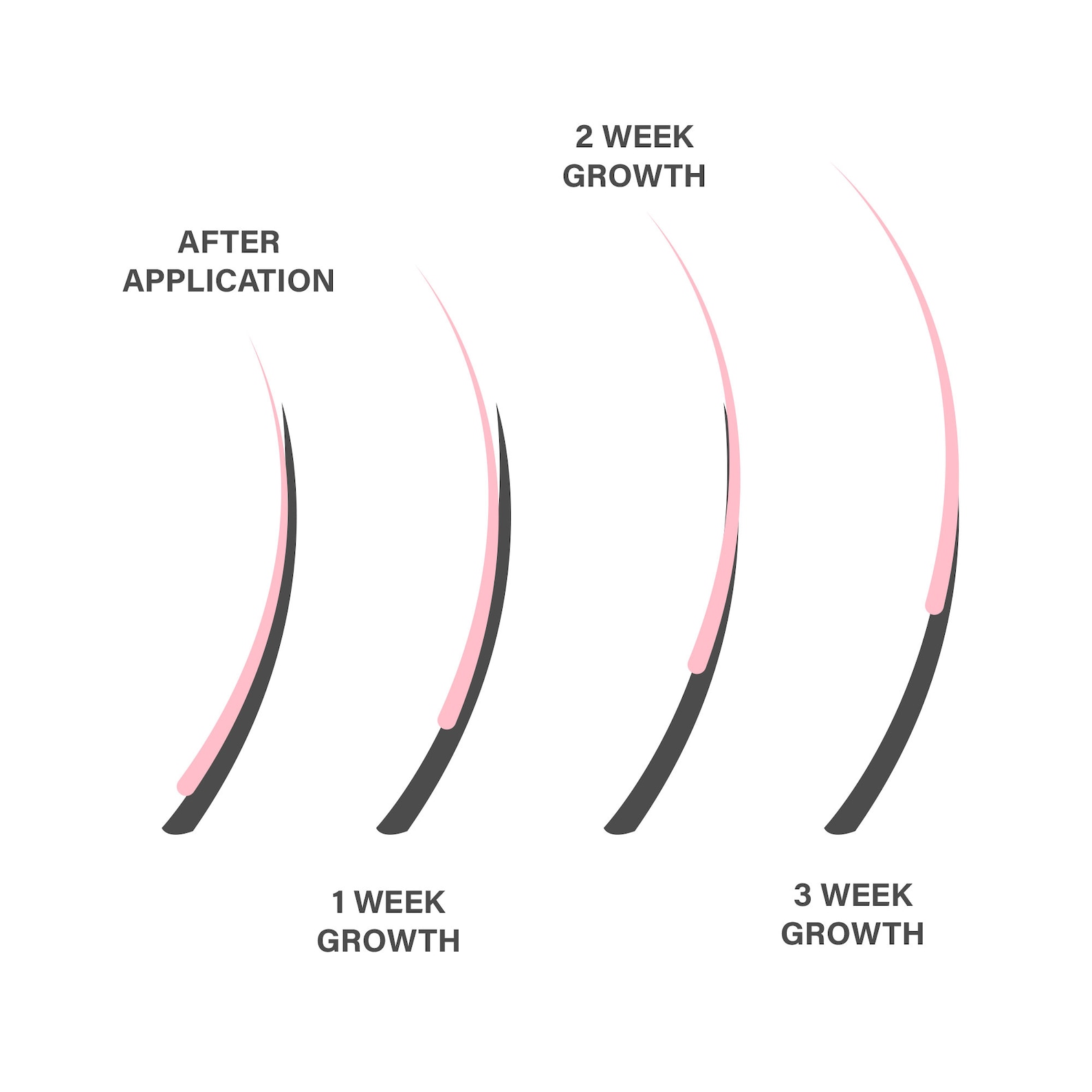 Lash Graphic Bundle of 10 Pictures. Eyelash Illustrations 10 JPG Files ...