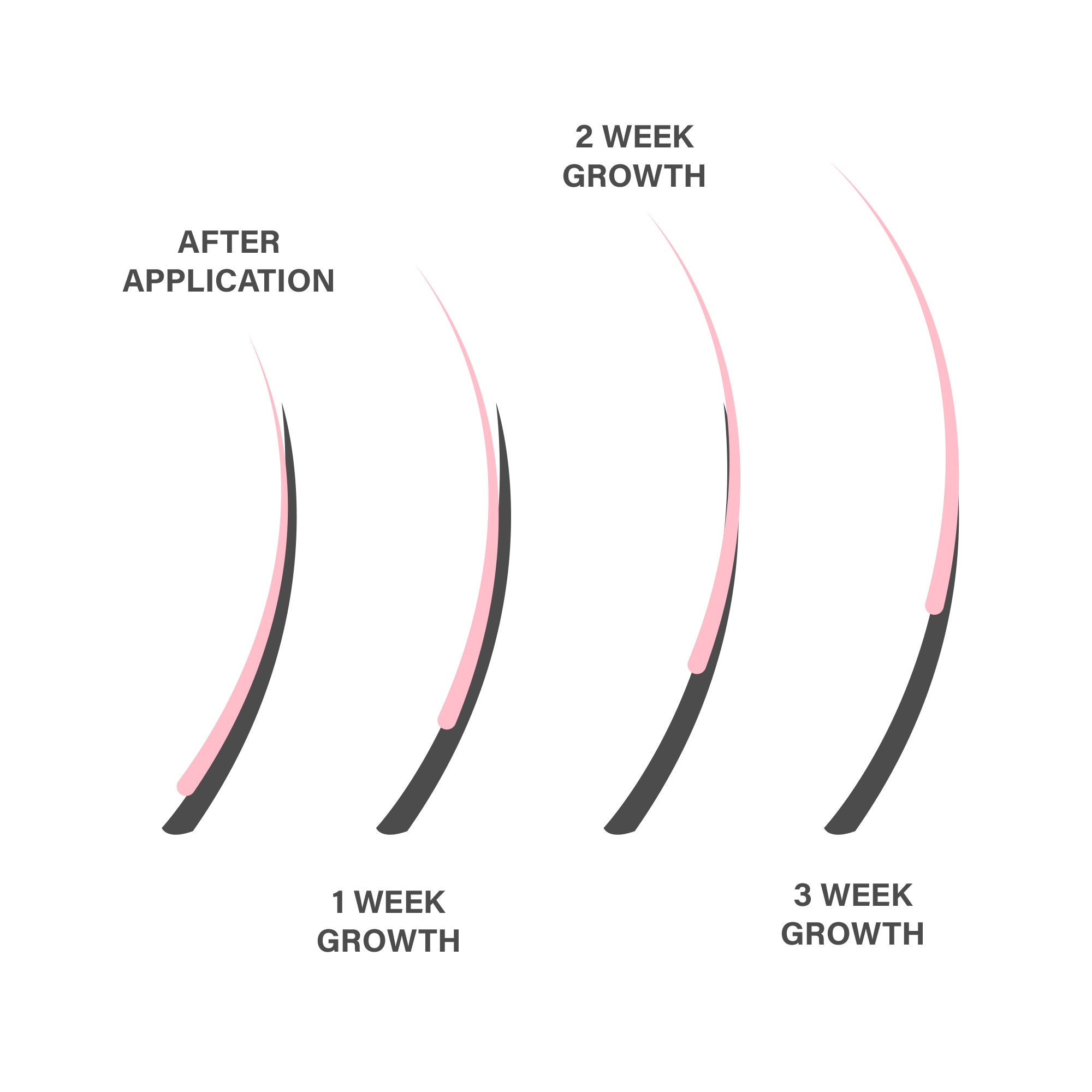 Lash Graphic Bundle of 10 Pictures. Eyelash Illustrations 10 JPG Files ...