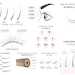 Lash Graphic Bundle of 10 Pictures. Eyelash Illustrations 10 JPG Files ...
