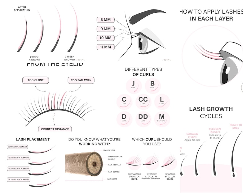 Lash Graphic Bundle of 10 Pictures. Eyelash Illustrations 10 JPG Files ...