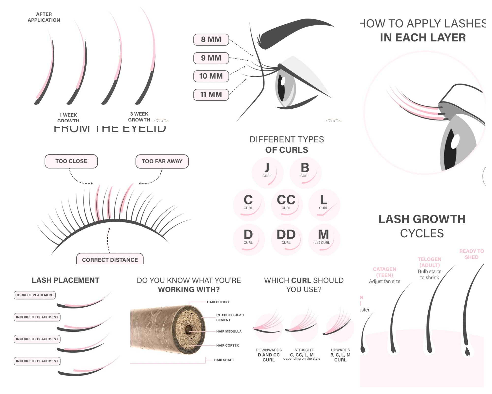 SALE Limited Time Lash Graphic Bundle of 10 Pictures. Eyelash ...