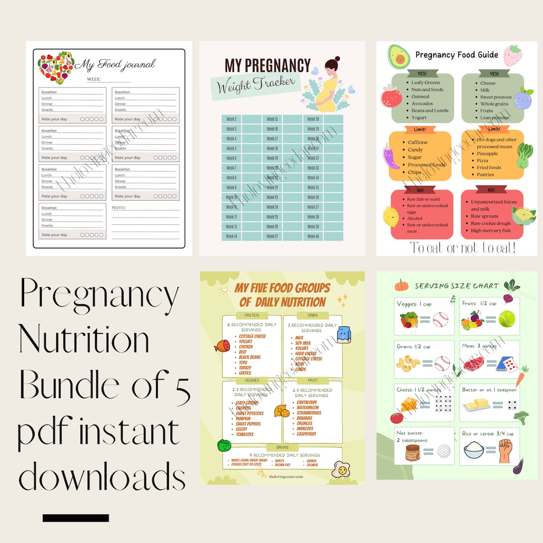 Pregnancy Food Guide and Journal Bundle of Four PDF 8.5 X 11 Instant ...