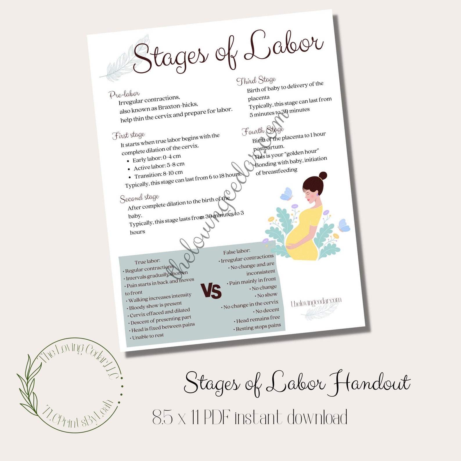 Stages of Labor Handout | PDF Instant Download | True Vs. False Labor ...
