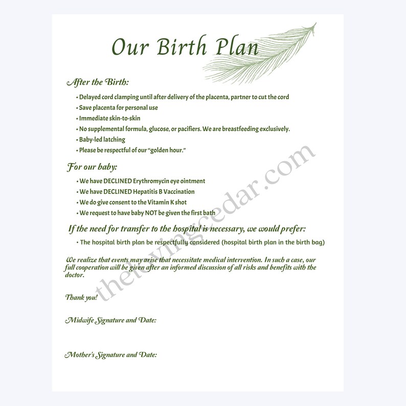 Birth Plan, Birth Center or Home Birth Plans, Birth Preferences ...
