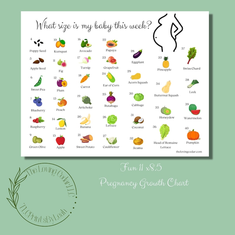How Big is Baby? Week-by-week Pregnancy Growth Chart | 11 X 8.5 PDF ...