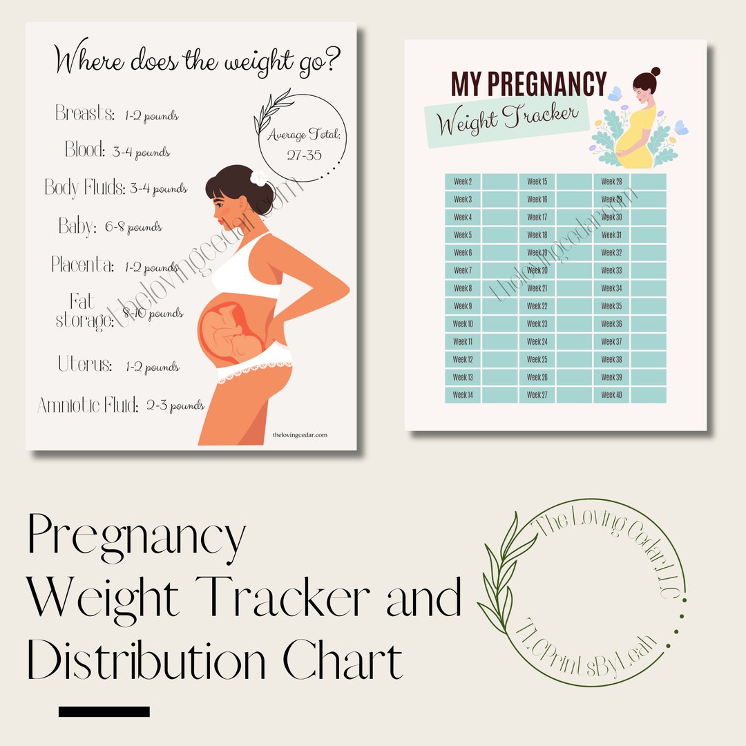 Pregnancy Weight Distribution Handout | Where Does the Weight Go ...