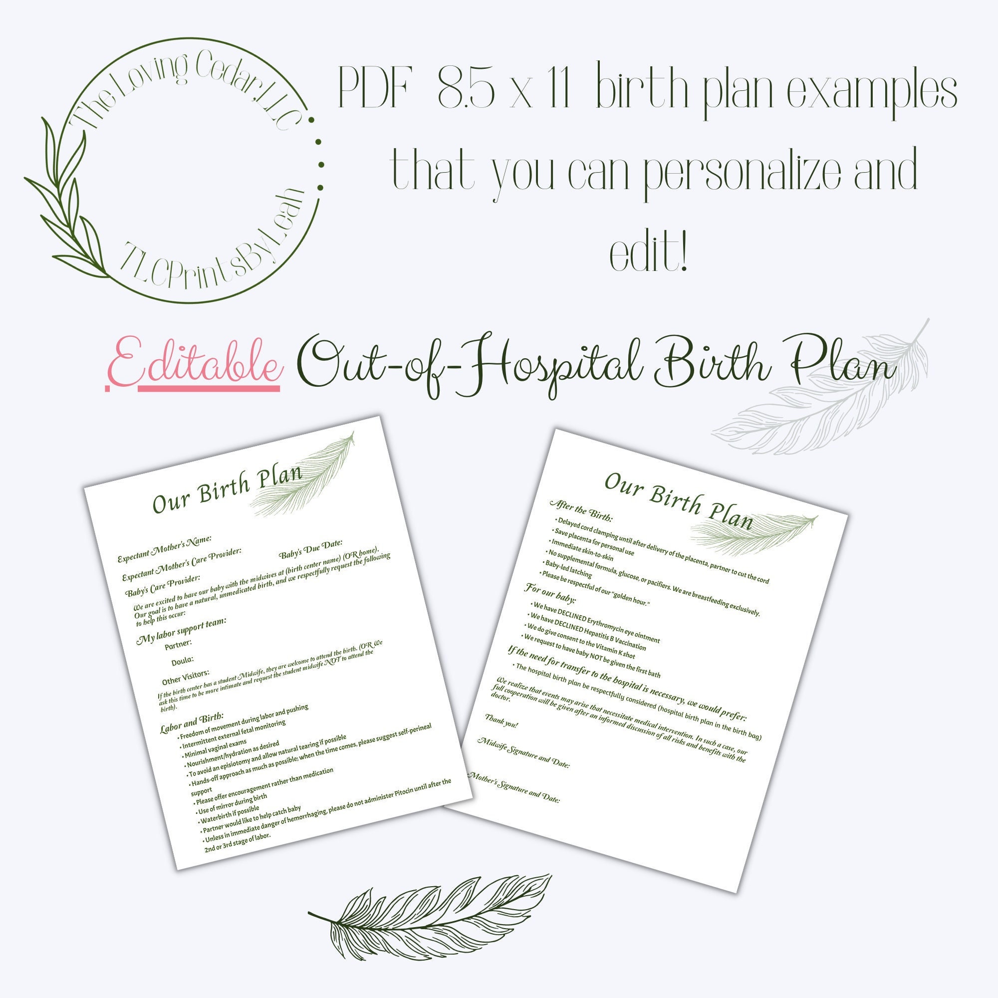 Birth Plan, Birth Center or Home Birth Plans, Birth Preferences ...