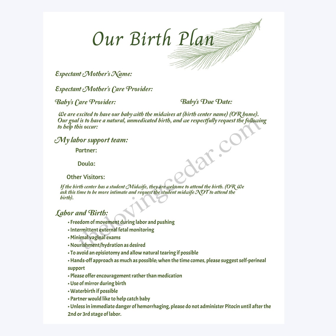 Birth Plan, Birth Center or Home Birth Plans, Birth Preferences ...