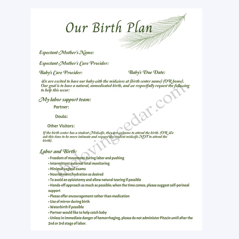 Birth Plan, Birth Center or Home Birth Plans, Birth Preferences ...
