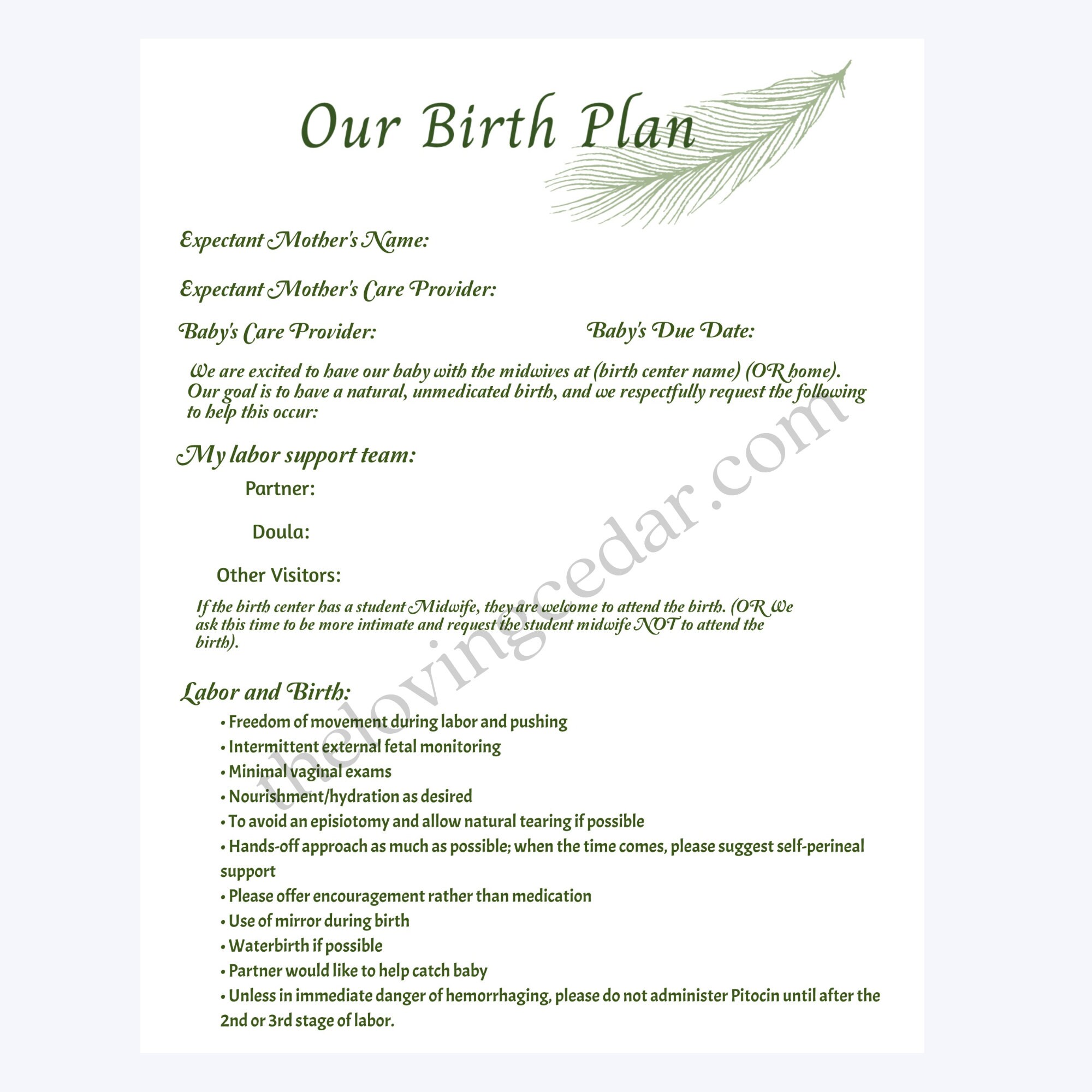Birth Plan, Birth Center or Home Birth Plans, Birth Preferences ...