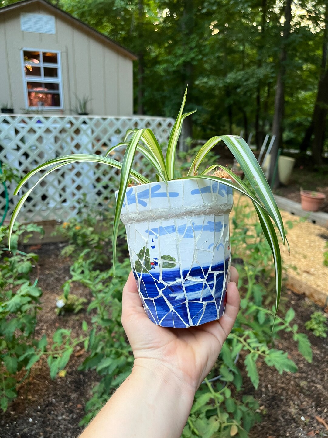 Spider Plant in Thrifted Mosaic Lighthouse Pot - Etsy