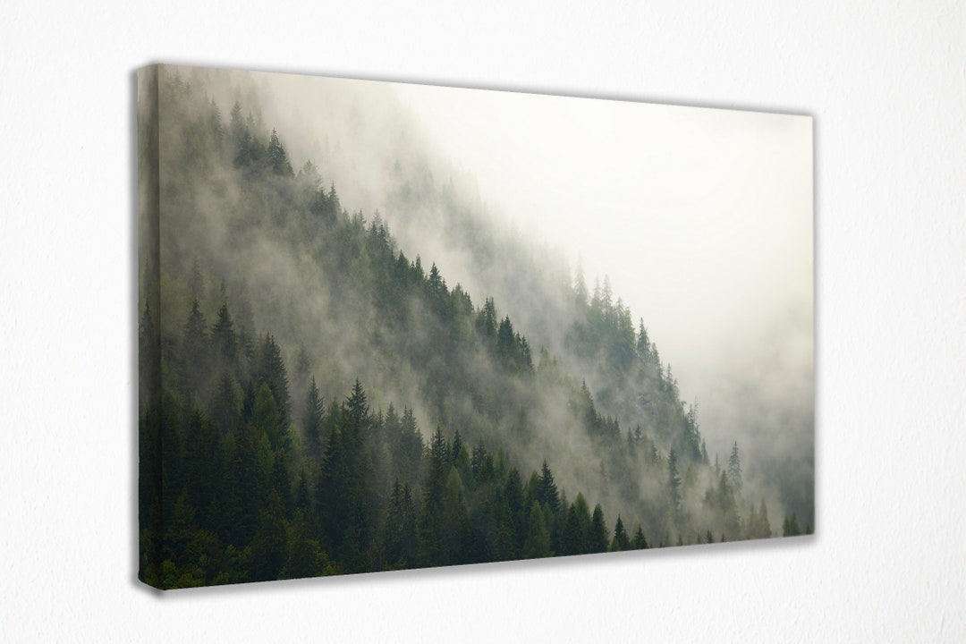 Endor Forest, Endor Forest Poster, Endor Forest Wall Art, Framed ...