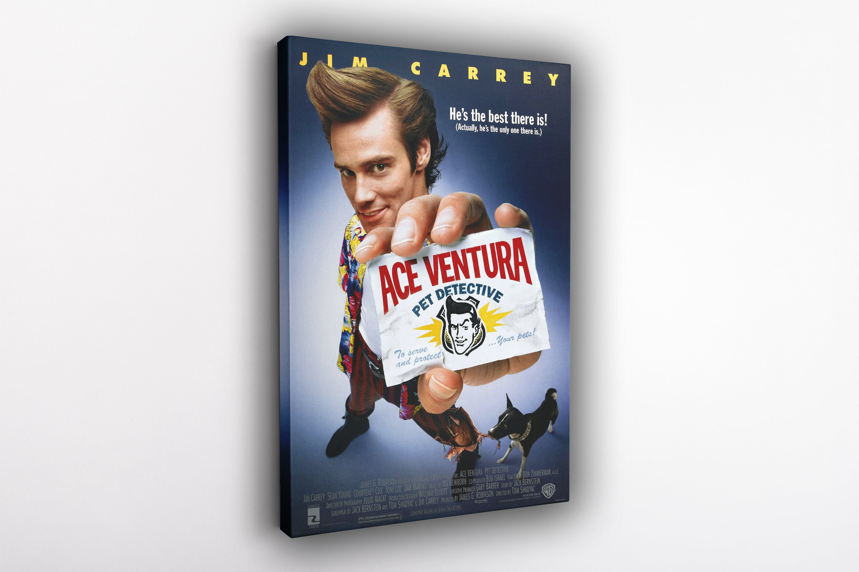 Ace Ventura Pet Detective Poster