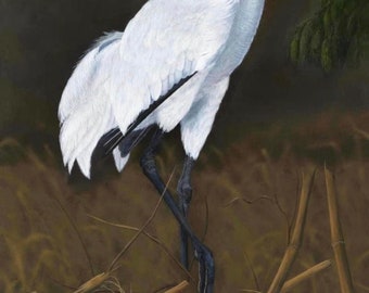 Wayne the Whooping Crane Plush Stuffed Animal - Etsy