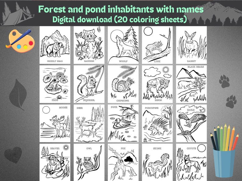 Printable Coloring Book Forest Animals and Birds. 20 PDF Coloring ...