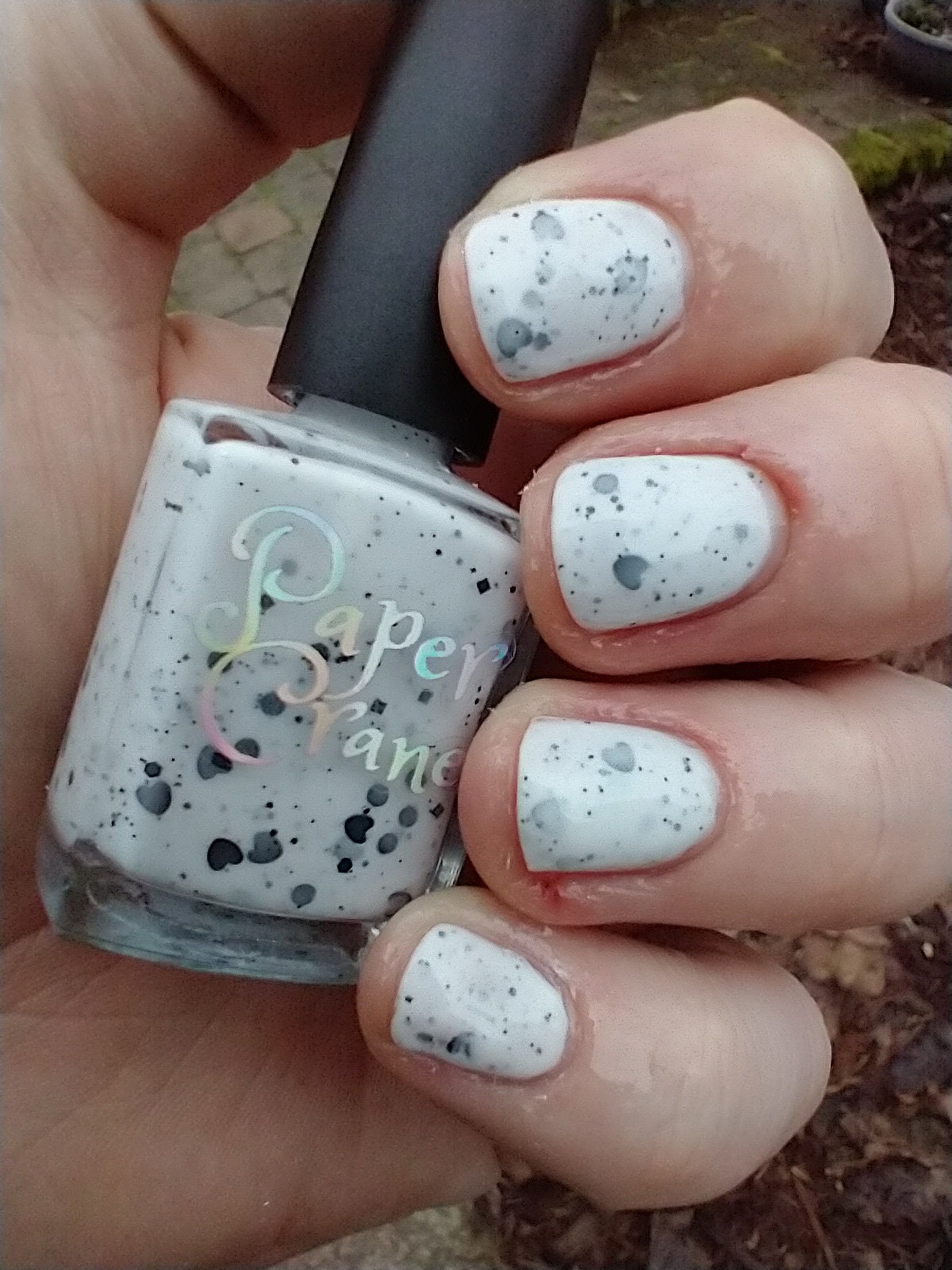 Pongo and Perdy White Crelly With Black Glitter Polish - Etsy