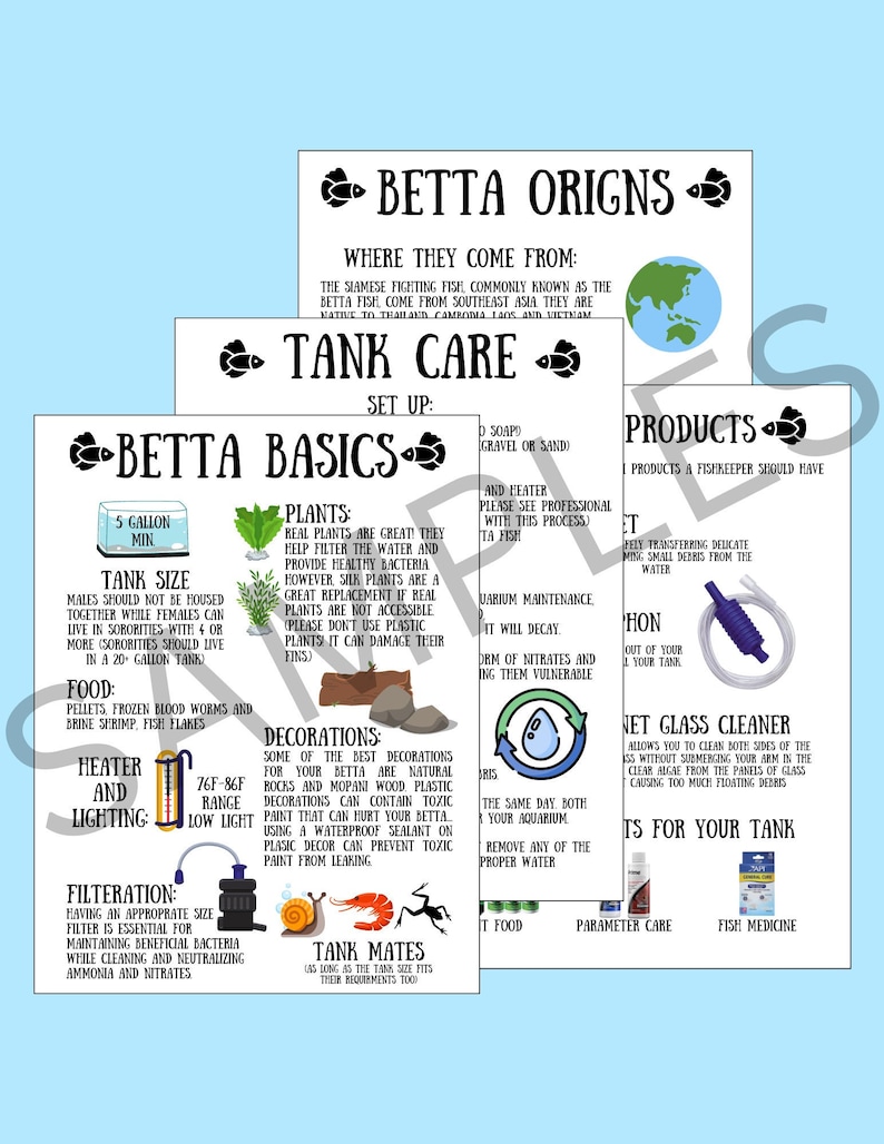 Betta Fish Care Sheet - Etsy