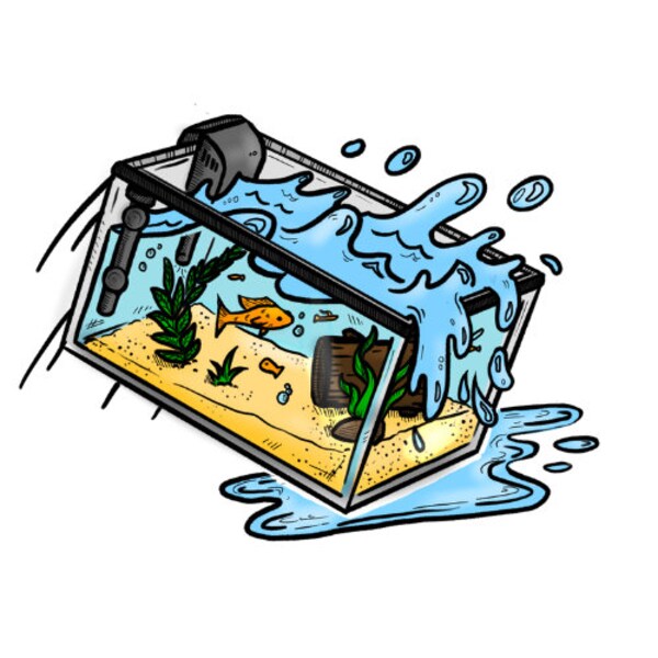 Aquarium Sticker - Etsy