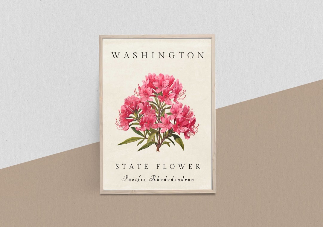 Coast Rhododendron Illustration Art Print - Washington State Floral ...