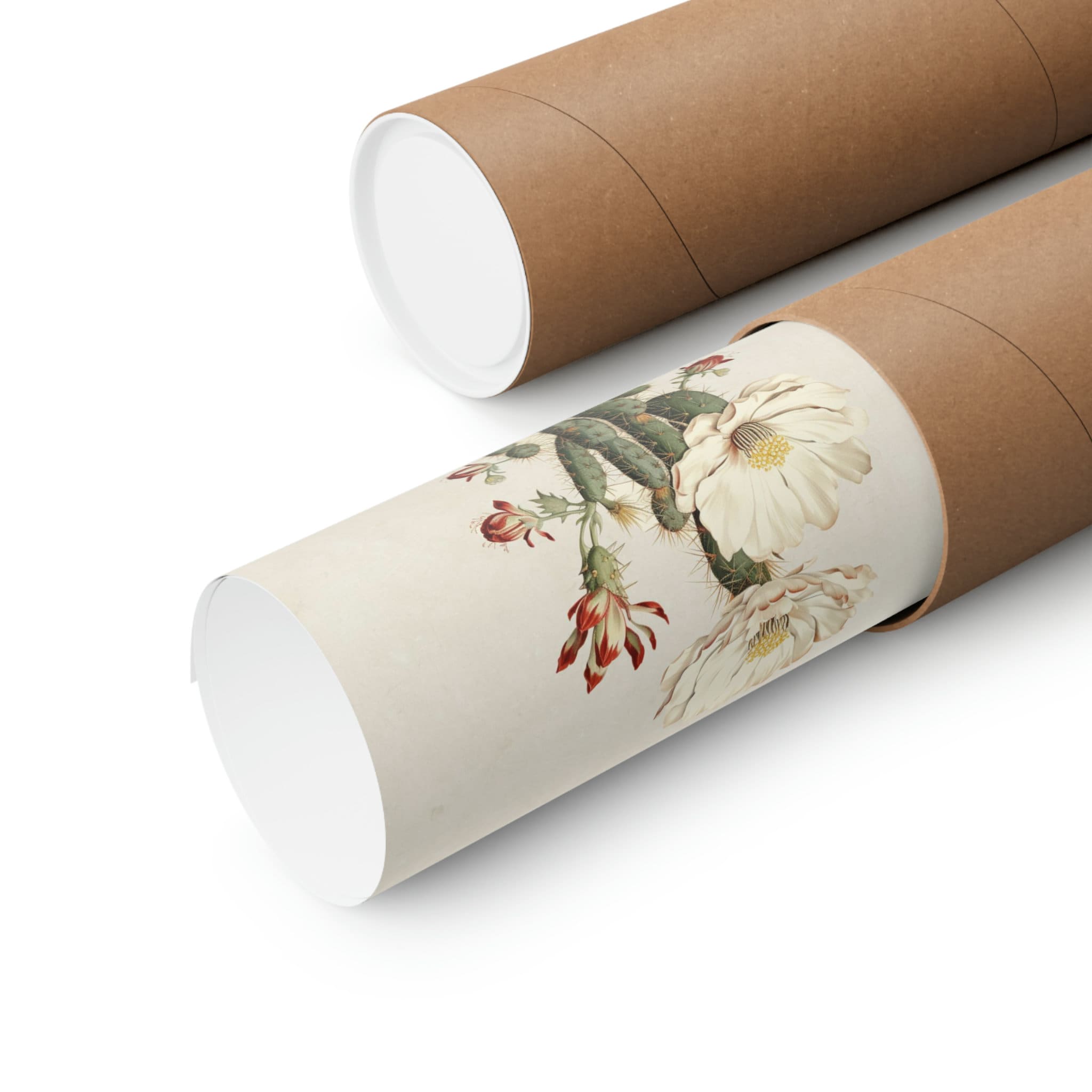 Arizona State Flower Print, Arizona Flower Market Art Print, Saguaro ...