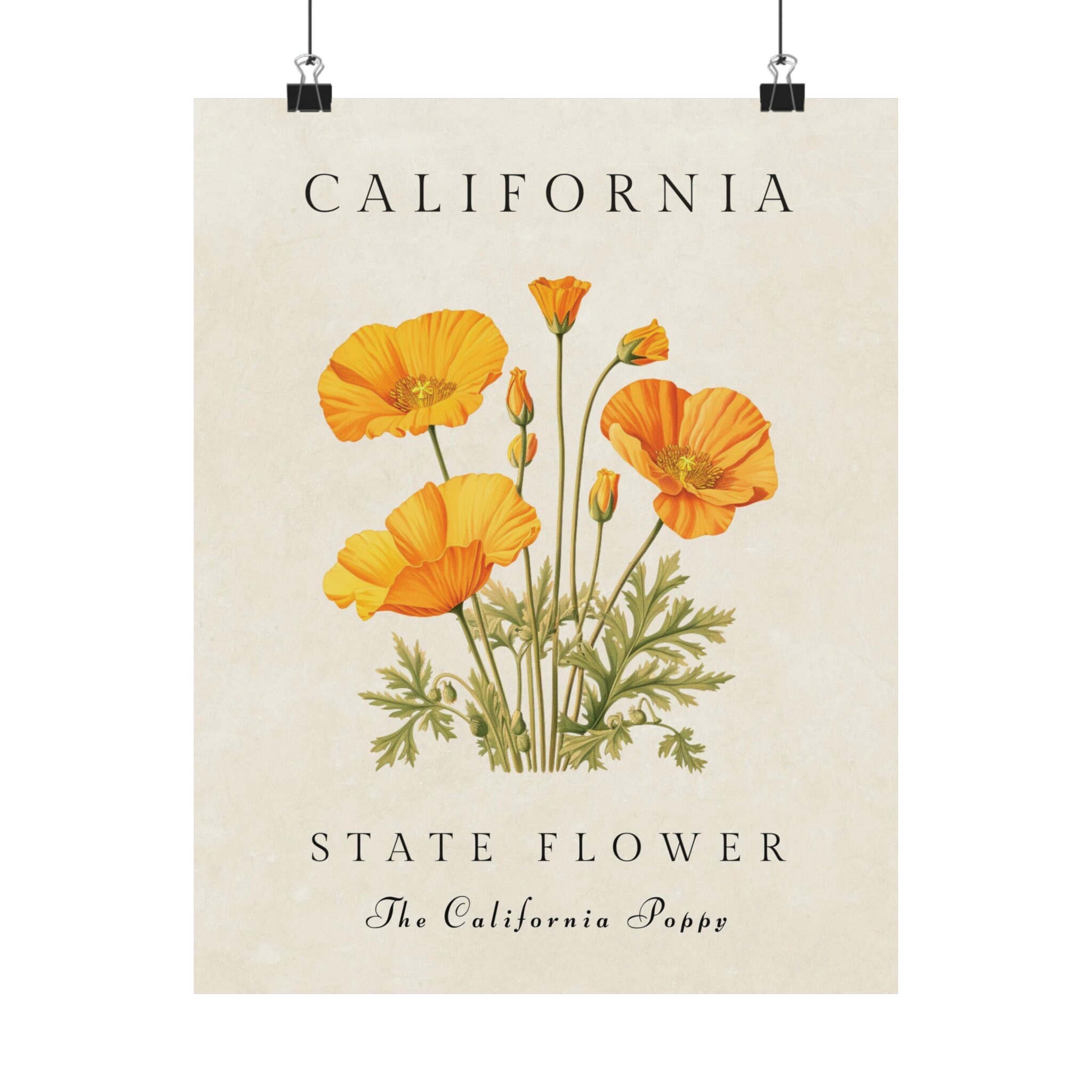 California Flower Market Poster, California State Flower, California ...