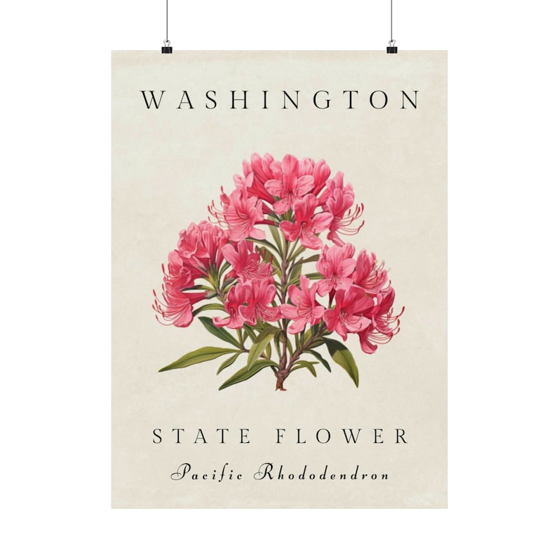 Coast Rhododendron Illustration Art Print - Washington State Floral ...