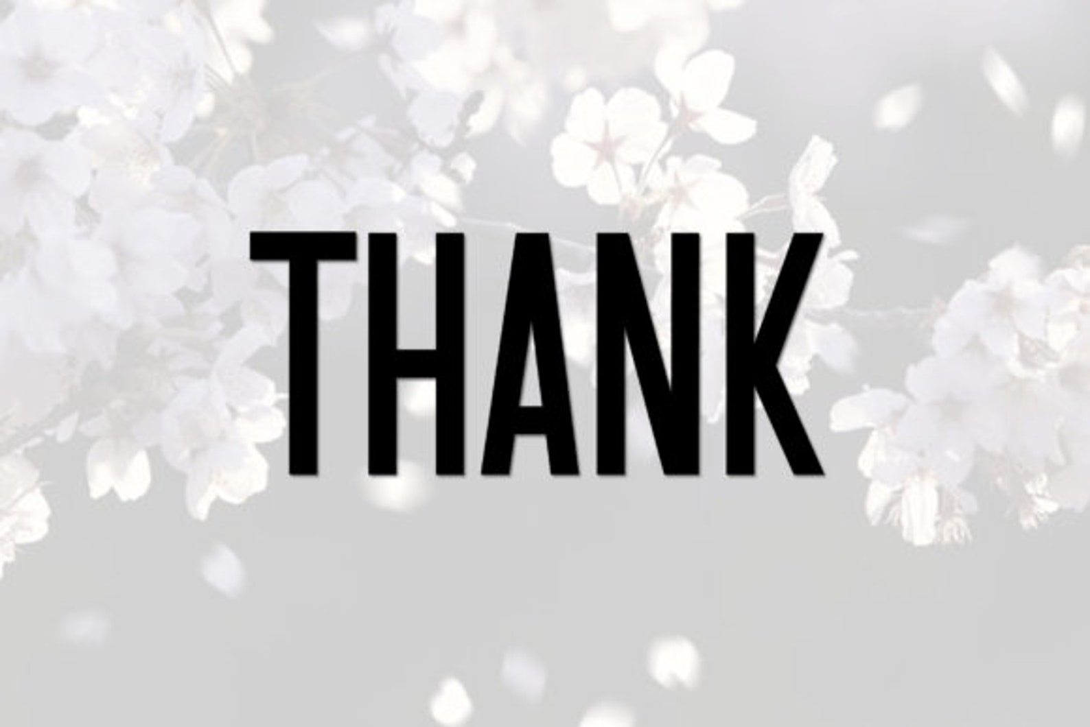 Garnacho Font, Serif Font, Modern Font, Display Font, Calligraphy Font ...