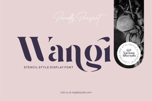 Wangi Font Script Font Handwritten Font Signature Font - Etsy