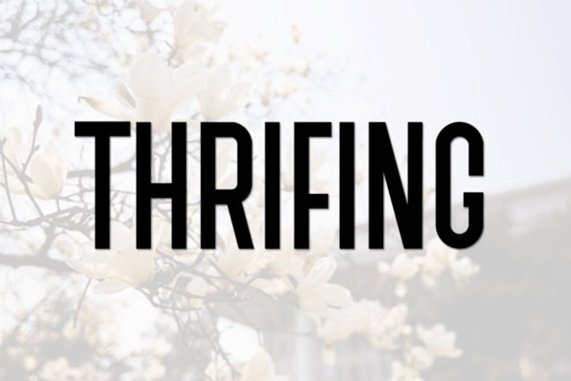 Garnacho Font, Serif Font, Modern Font, Display Font, Calligraphy Font ...