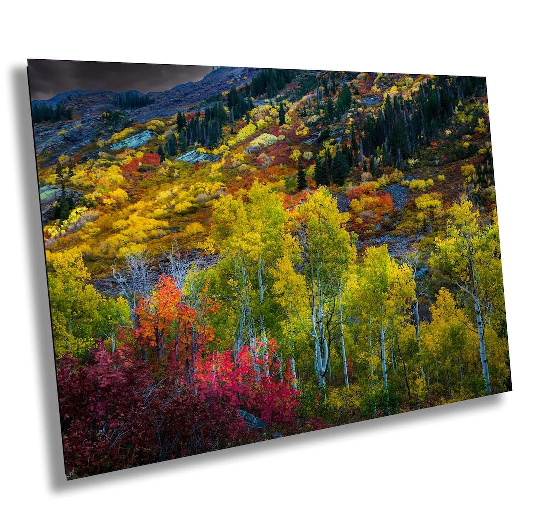 Big Cottonwood Canyon Fall Colors Photo: Utah Autumn Landscape Wall Art ...