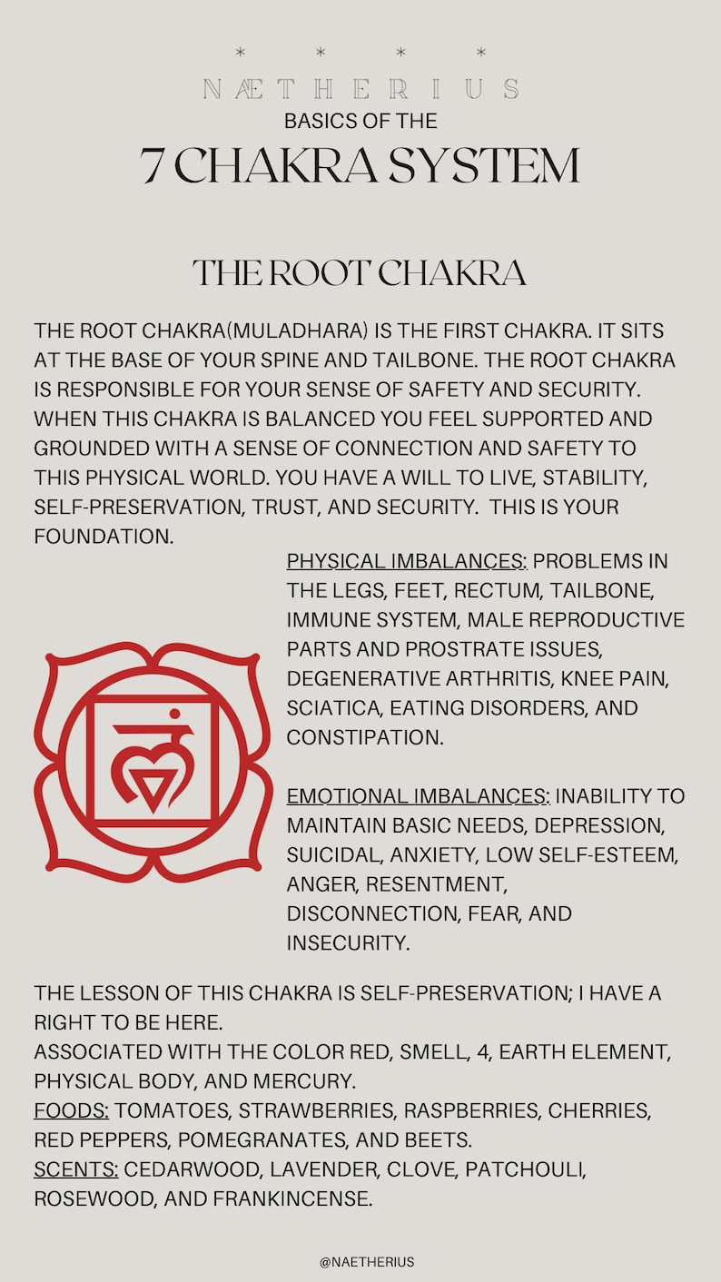 Basics of the 7 Chakra System Ebook, Chakras, Spiritual Books, Energy ...