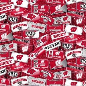 Over the Collar Reversible Dog Bandana - Wisconsin Badgers, Milwaukee ...