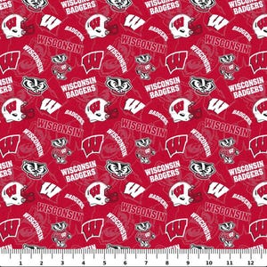 Over the Collar Reversible Dog Bandana - Wisconsin Badgers, Milwaukee ...