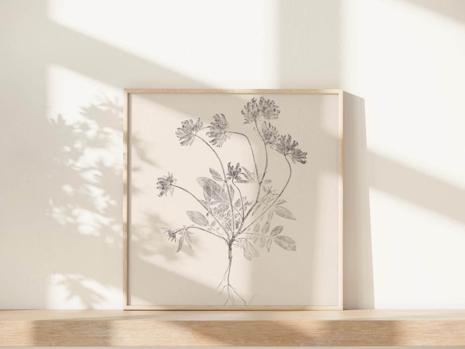 Vintage Botanical Print, Antique Wildflower Illustration (digital ...