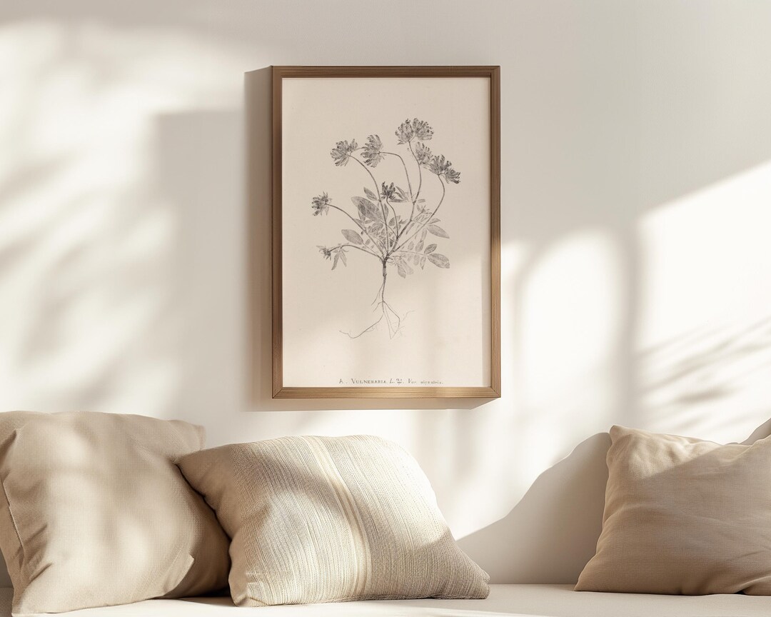 Vintage Botanical Print, Antique Wildflower Illustration (digital ...