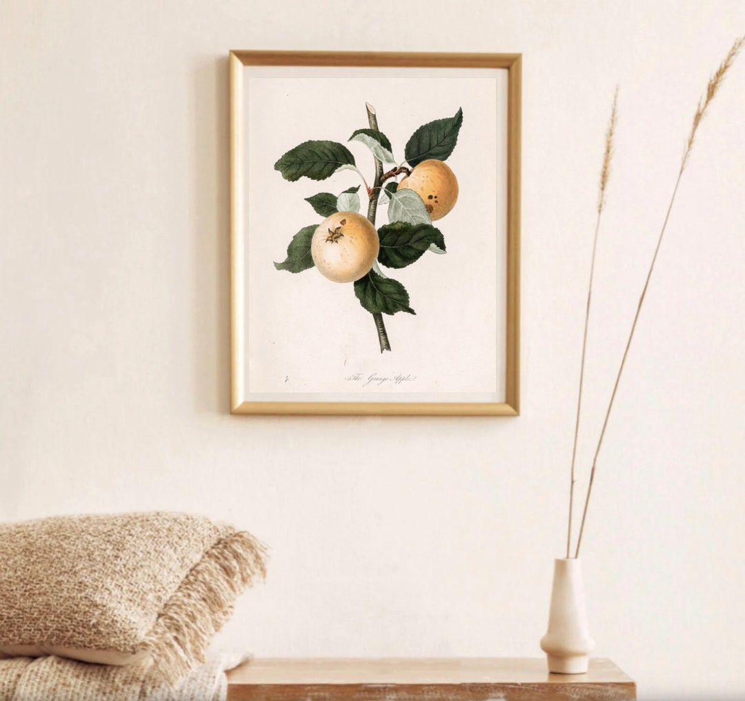 Vintage Botanical Apples Fruit Farmhouse Neutral Country Kitchen ...