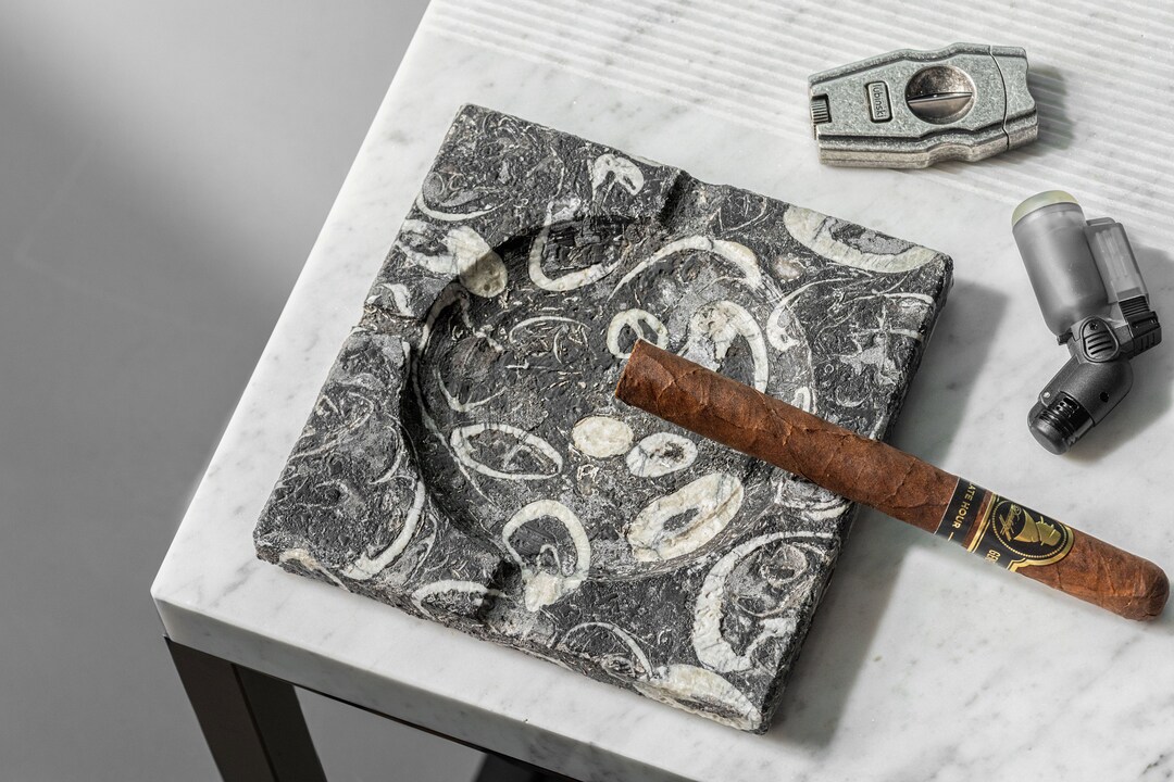 Cigar and Cigarette Ashtray Dual-use, Natural Marble, Seashell Fossil ...