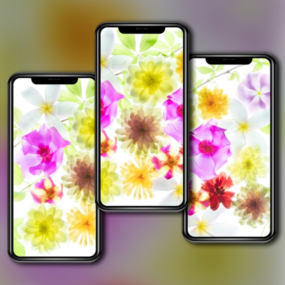 Full Hd Flowers Wallpaper Pack 001