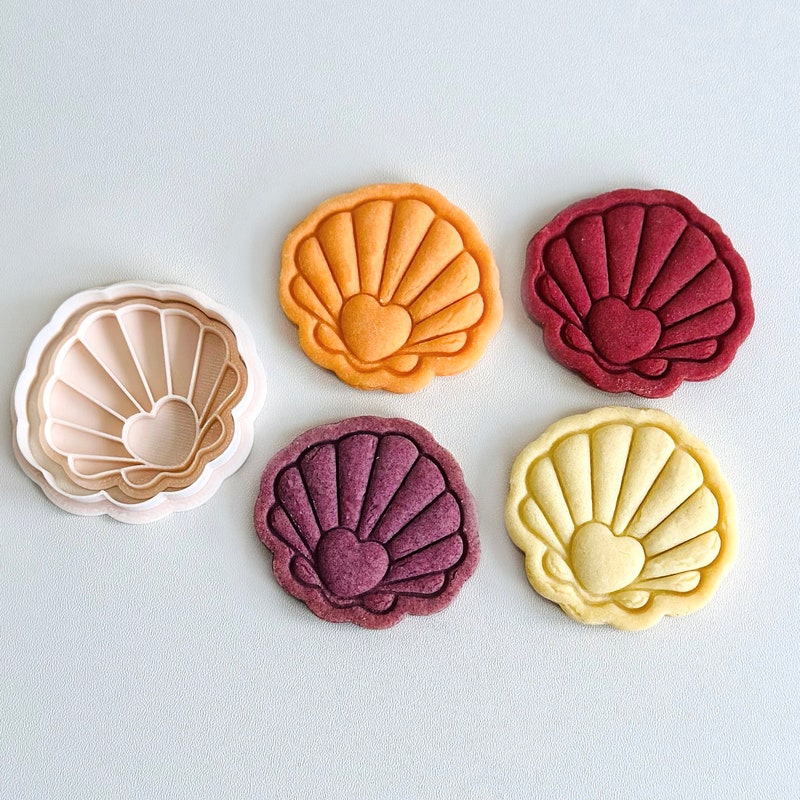 Seashell Cookies - Etsy