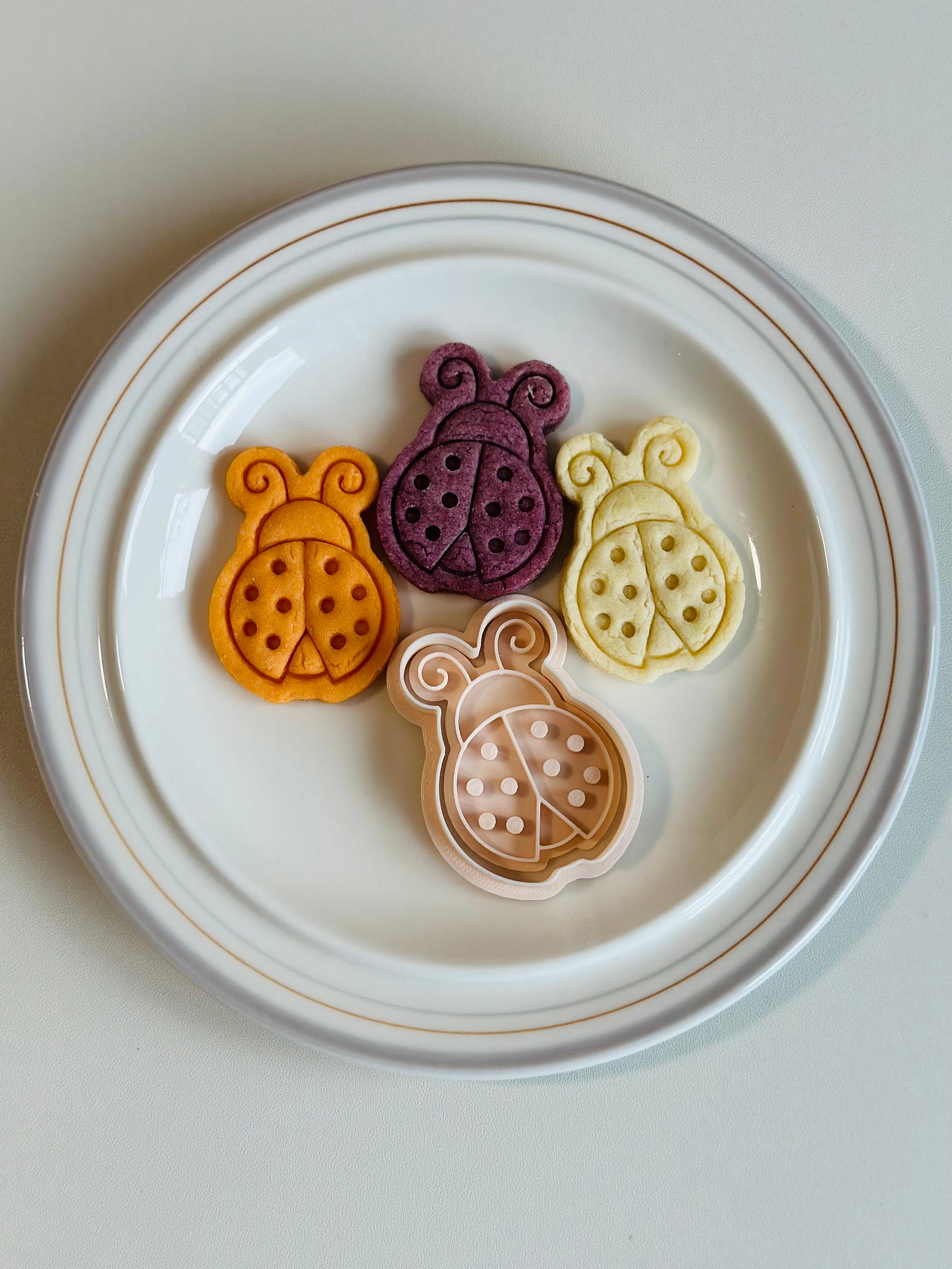 Ladybug Cookie Cutter | Spring Lady Bug Cookie Cutter Stamp Set ...