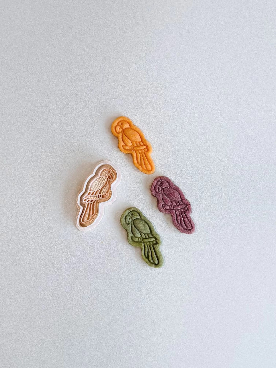 Parrot Cookie Cutter | Spring Animal Cookie Cutter Stamp Set | Parrot ...