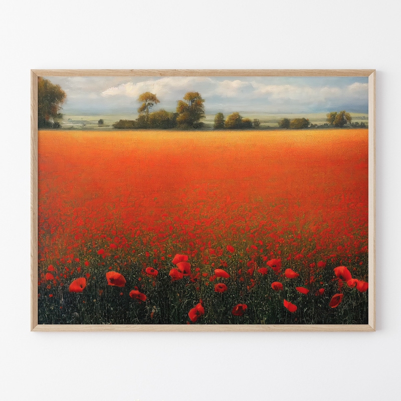Flanders Poppy - Etsy