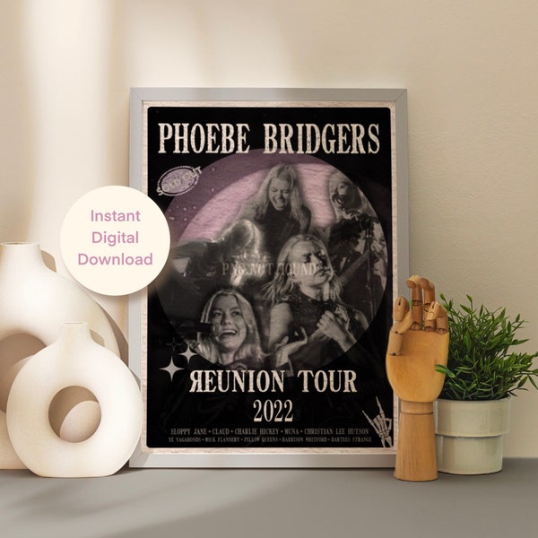 Phoebe Bridgers Reunion Tour - Etsy