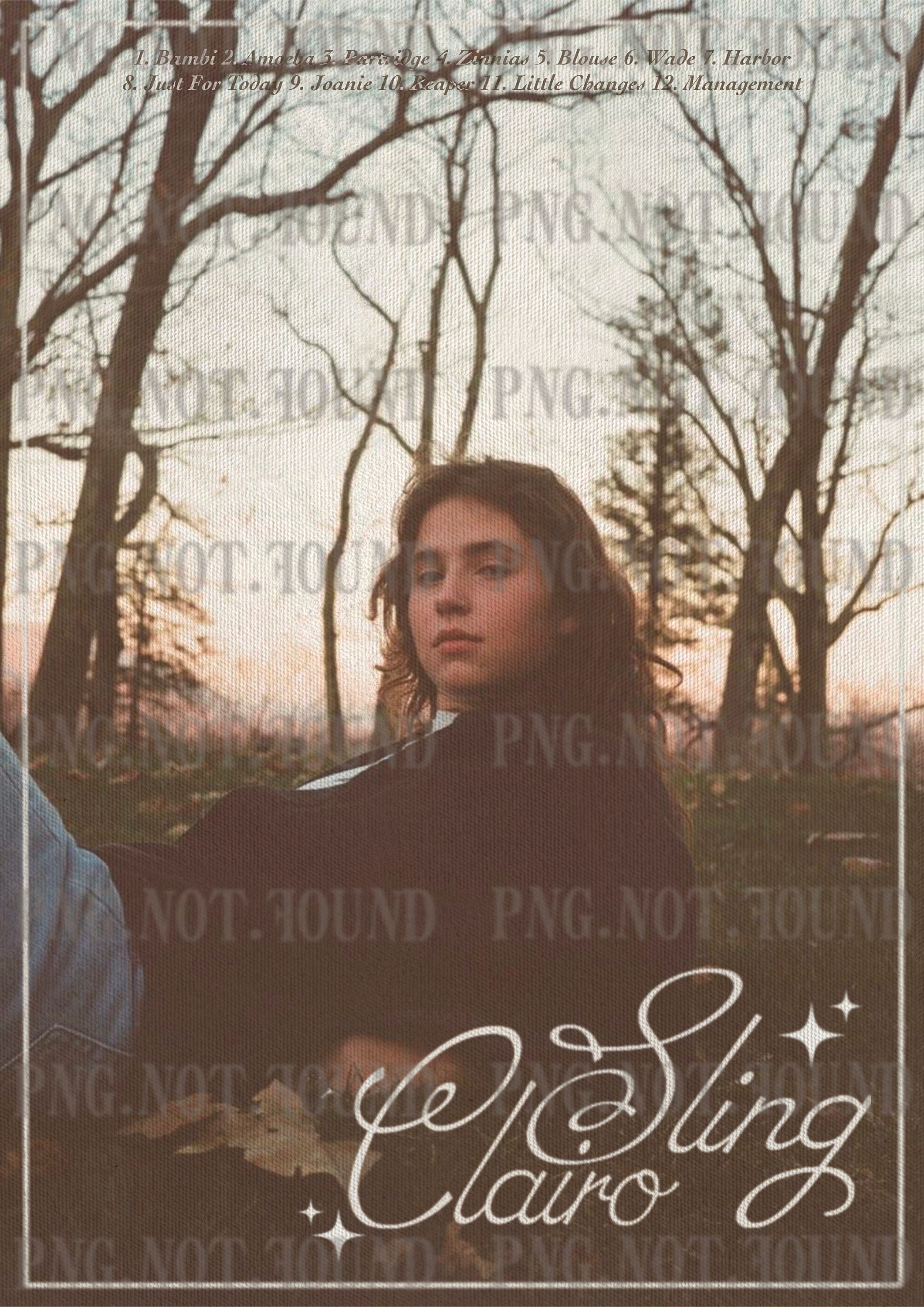 Clairo Sling Poster - Etsy