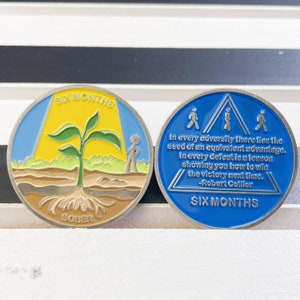 6 Month Sobriety Coin - AA Chip (1-12 Months) - AA Medallion and Prayer ...