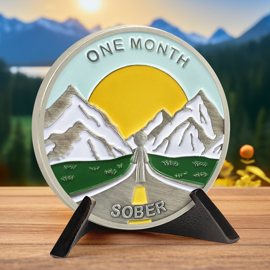 1 Month Sobriety Coin - One Month Sober - AA Recovery Chips (1-12 ...
