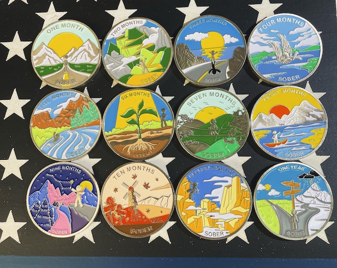 Winter Sobriety Coin 1 Month 2 and 12 Months AA Chips Medallion for ...